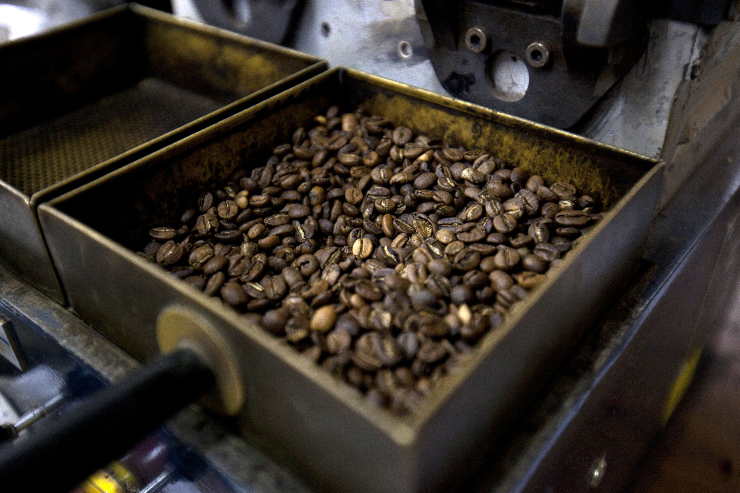 Africa News: Uganda Lawmakers Seek Reversal of Controversial Coffee ...