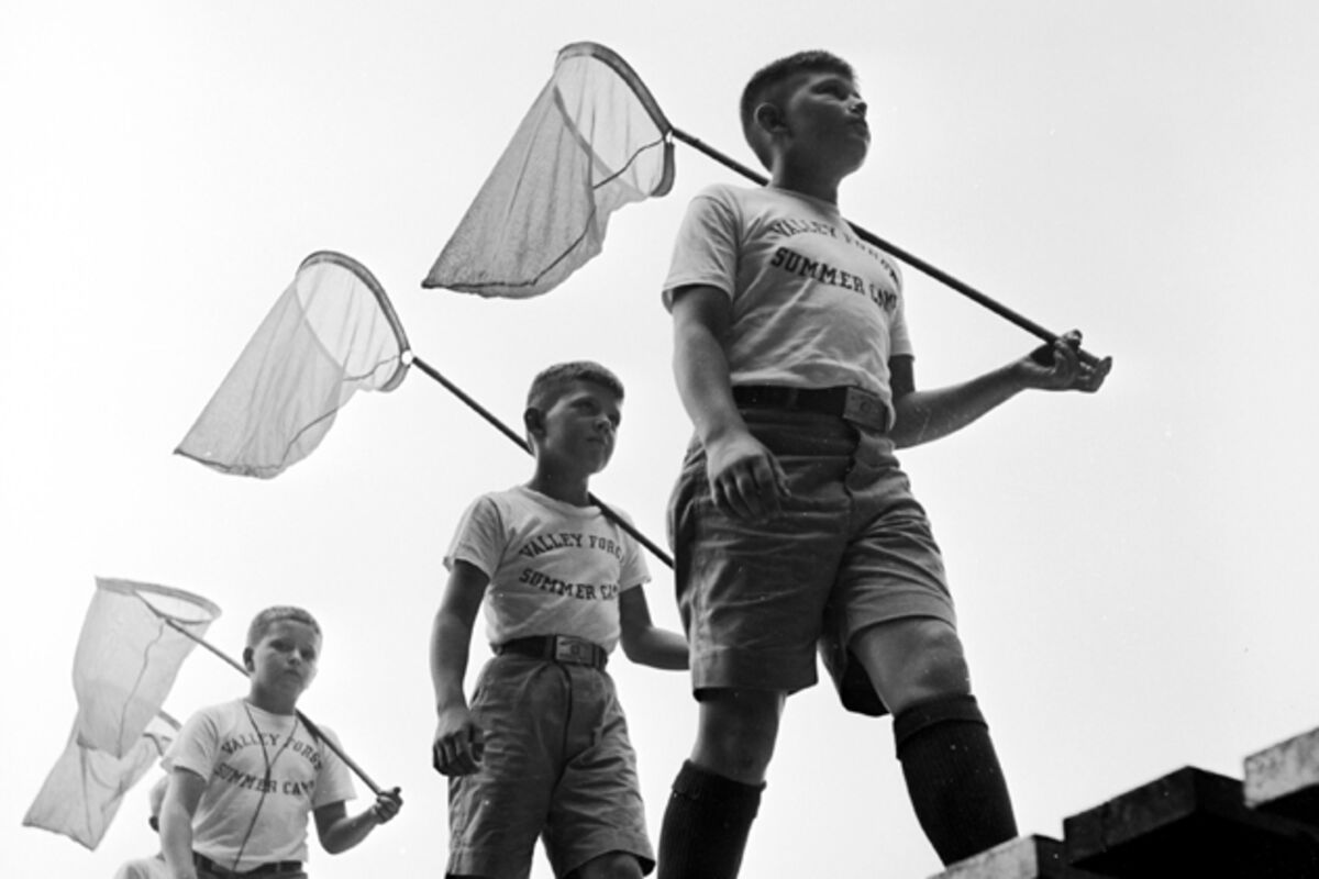 Mapping The Summer Camp Business Bloomberg mapping-the-summer-camp-business-bloomberg