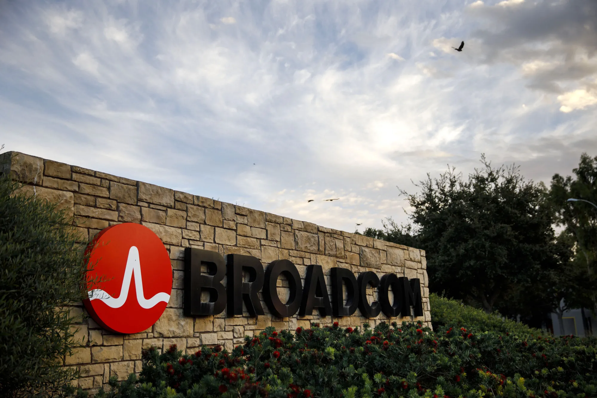 Broadcom (AVGO) Earnings Show Signs of Sluggish Non-AI Demand - Bloomberg