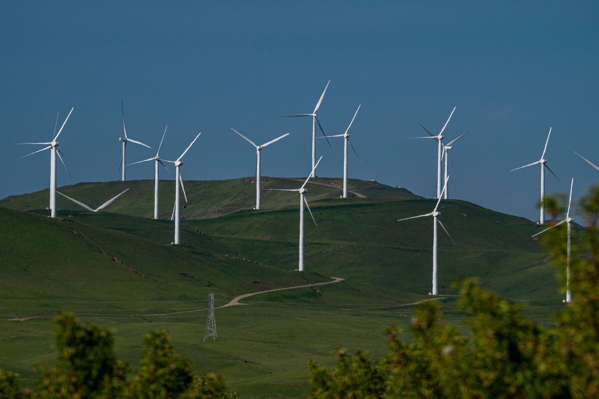 Hedge Funds Bet Against Green Stocks, Clean Energy Transition: Big Take ... Hedge Funds Bet Against Green Stocks, Clean Energy Transition: Big Take ...