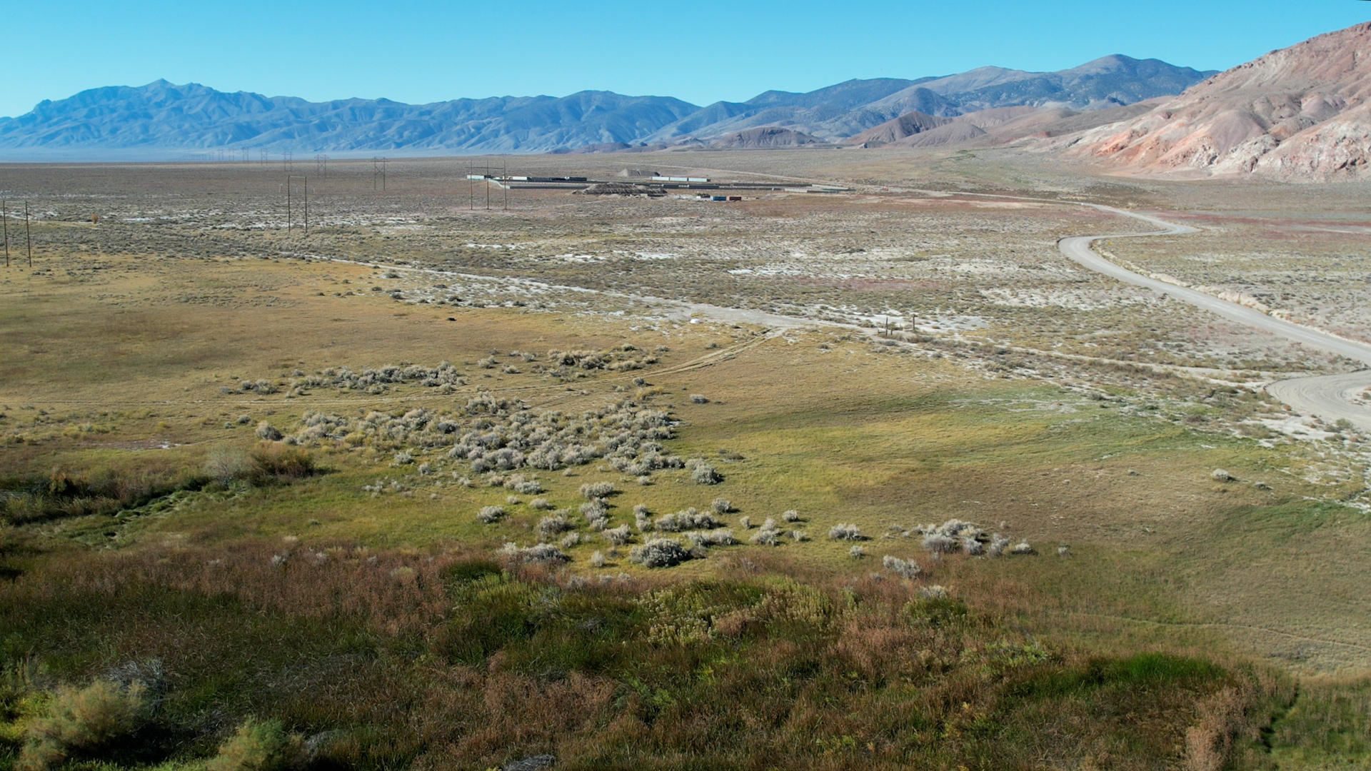 Rare Toad, Clean Energy Face Off in Clash of US Green Priorities ...