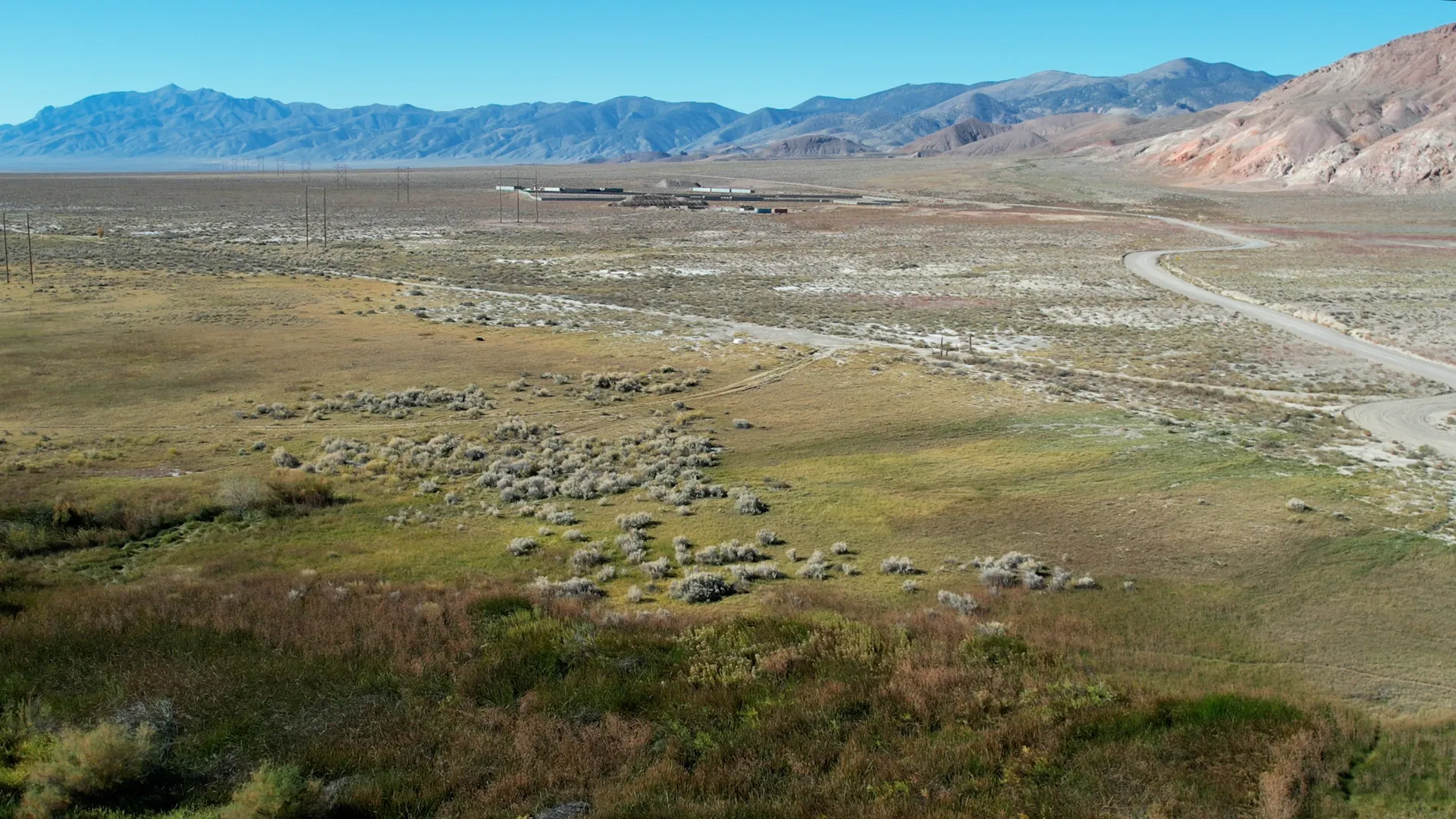 Rare Toad, Clean Energy Face Off in Clash of US Green Priorities ...