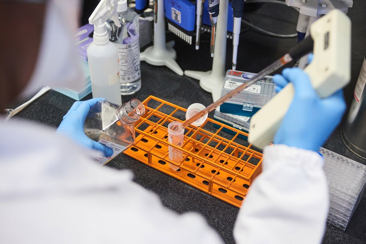 Africa CDC Given Authority to Declare Public Health Emergencies - Bloomberg