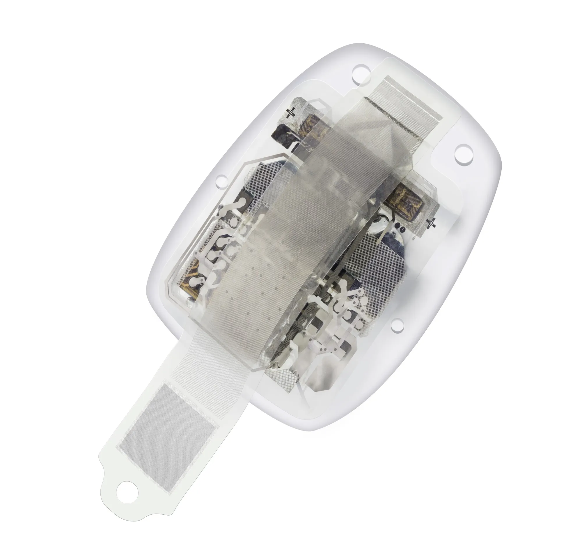 Elon Musk Neuralink Rival Science Corp. to Make BCI With Photonics ...