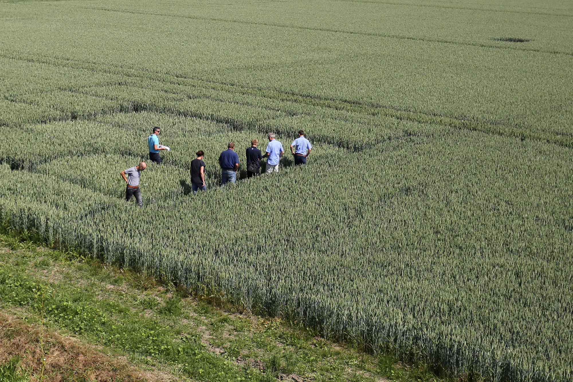 The Other Monsanto Chemical Bayer Investors Should Watch - Bloomberg