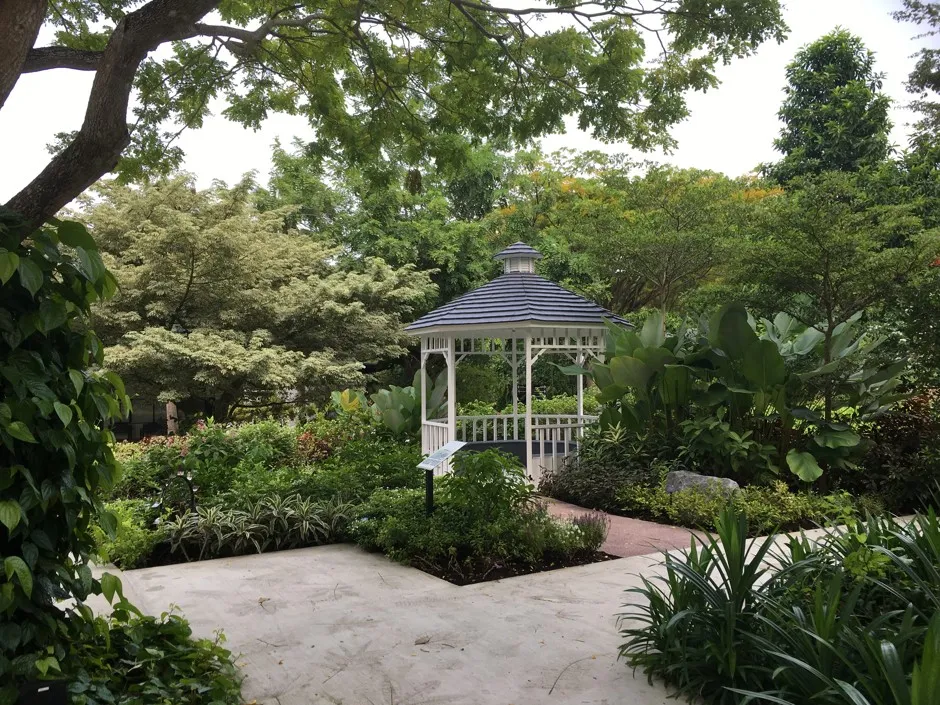 A Therapeutic Garden for Singapore's Oldest Residents - Bloomberg