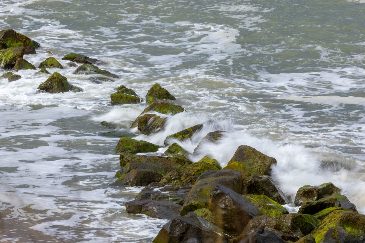 The Planet Keeps Breaking Records for Warming Waters - Bloomberg