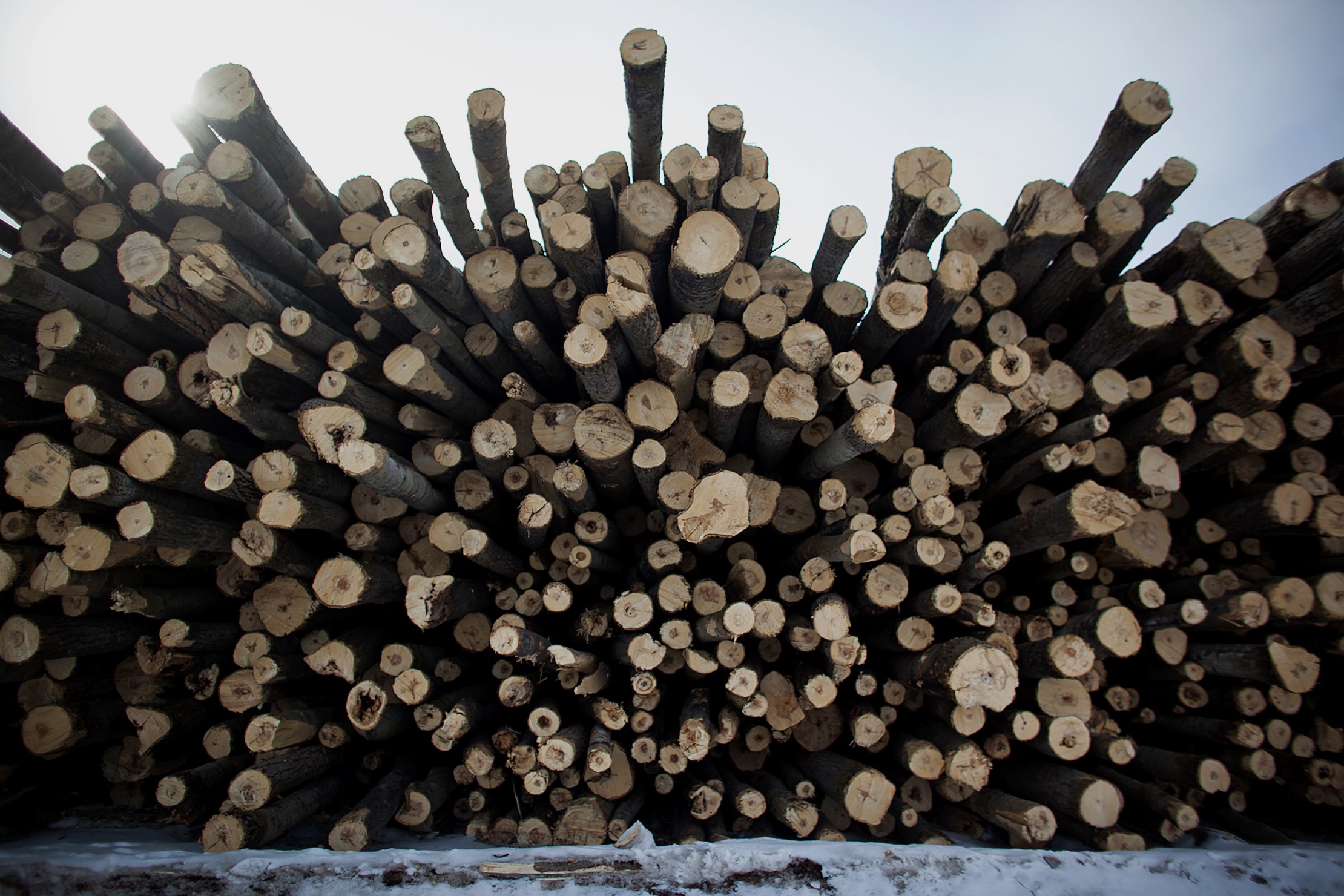 U.S. Places Punitive Tariffs on Canadian Lumber Amid Impasse - Bloomberg