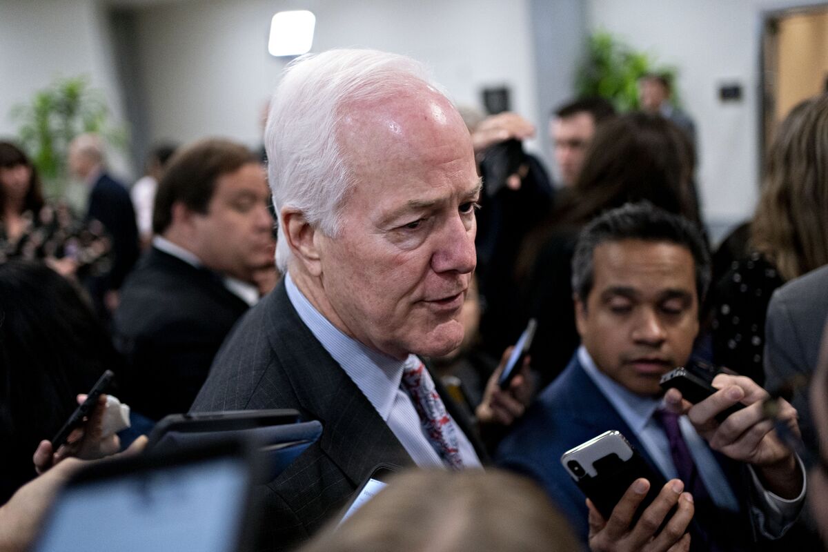 Texas Election Results 2020: Cornyn Wins Senate Race, Defeats MJ Hegar ...
