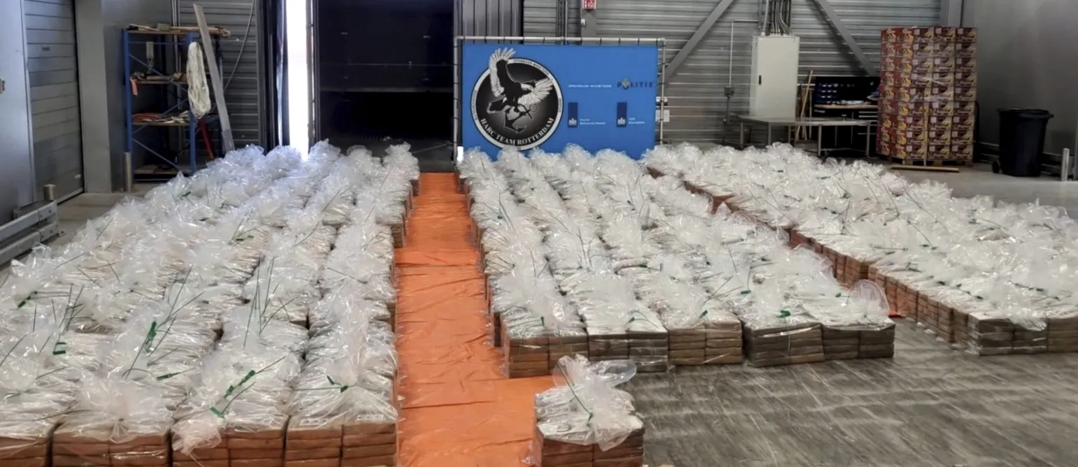 Dutch Seize Record $660 Million Cocaine Hidden in Banana Cargo - Bloomberg