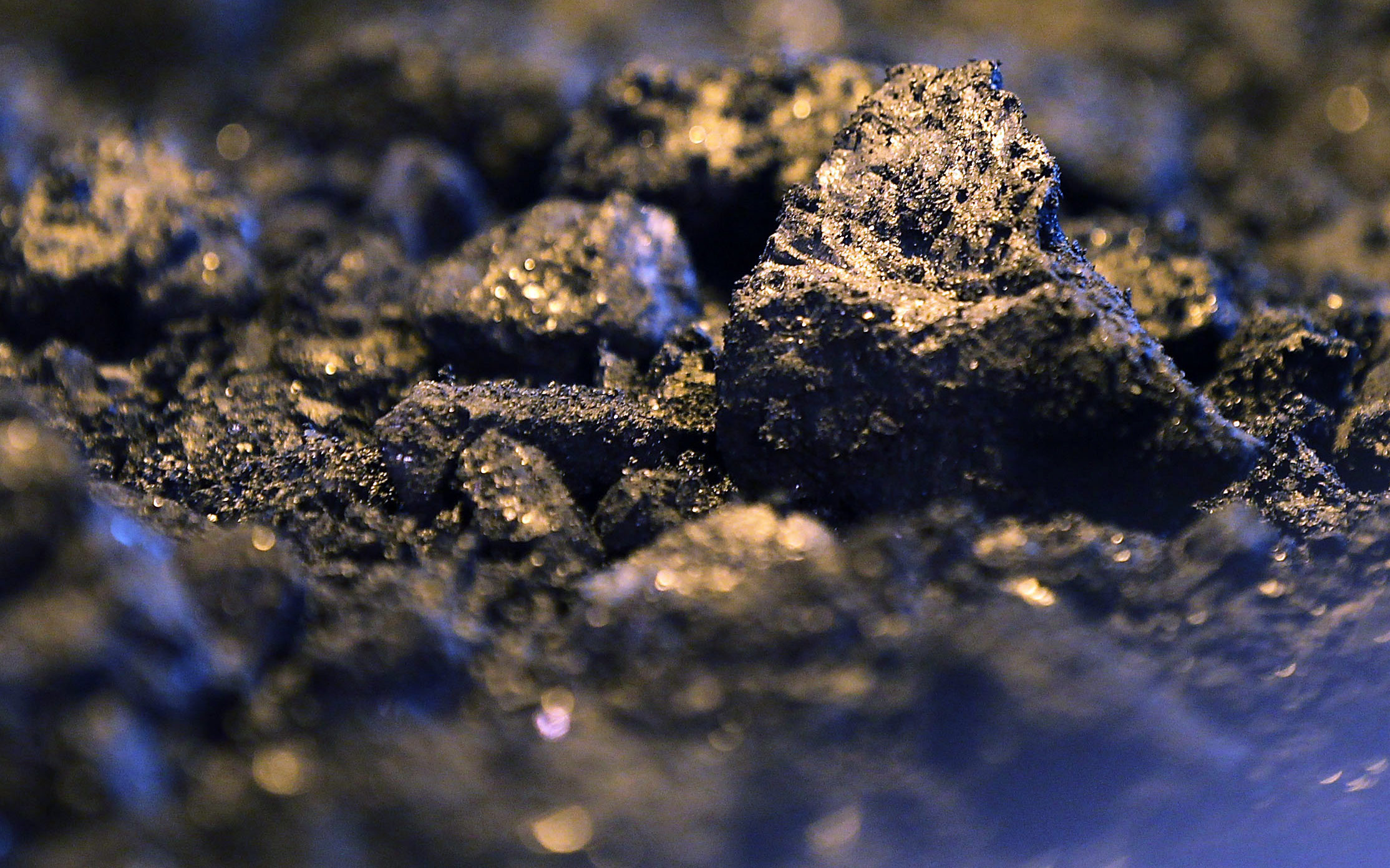 Coal Is World’s Most Expensive Fuel After Oil’s Brutal Collapse - Bloomberg