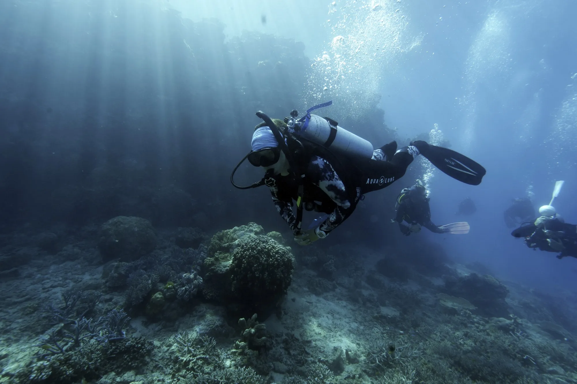 Scientists Try to Bolster Great Barrier Reef in Warmer World - Bloomberg