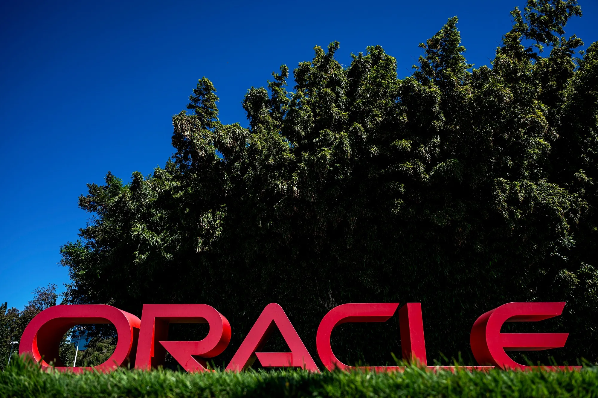 Oracle’s AI-Driven Growth Has Wall Street Most Bullish in Years (ORCL ...