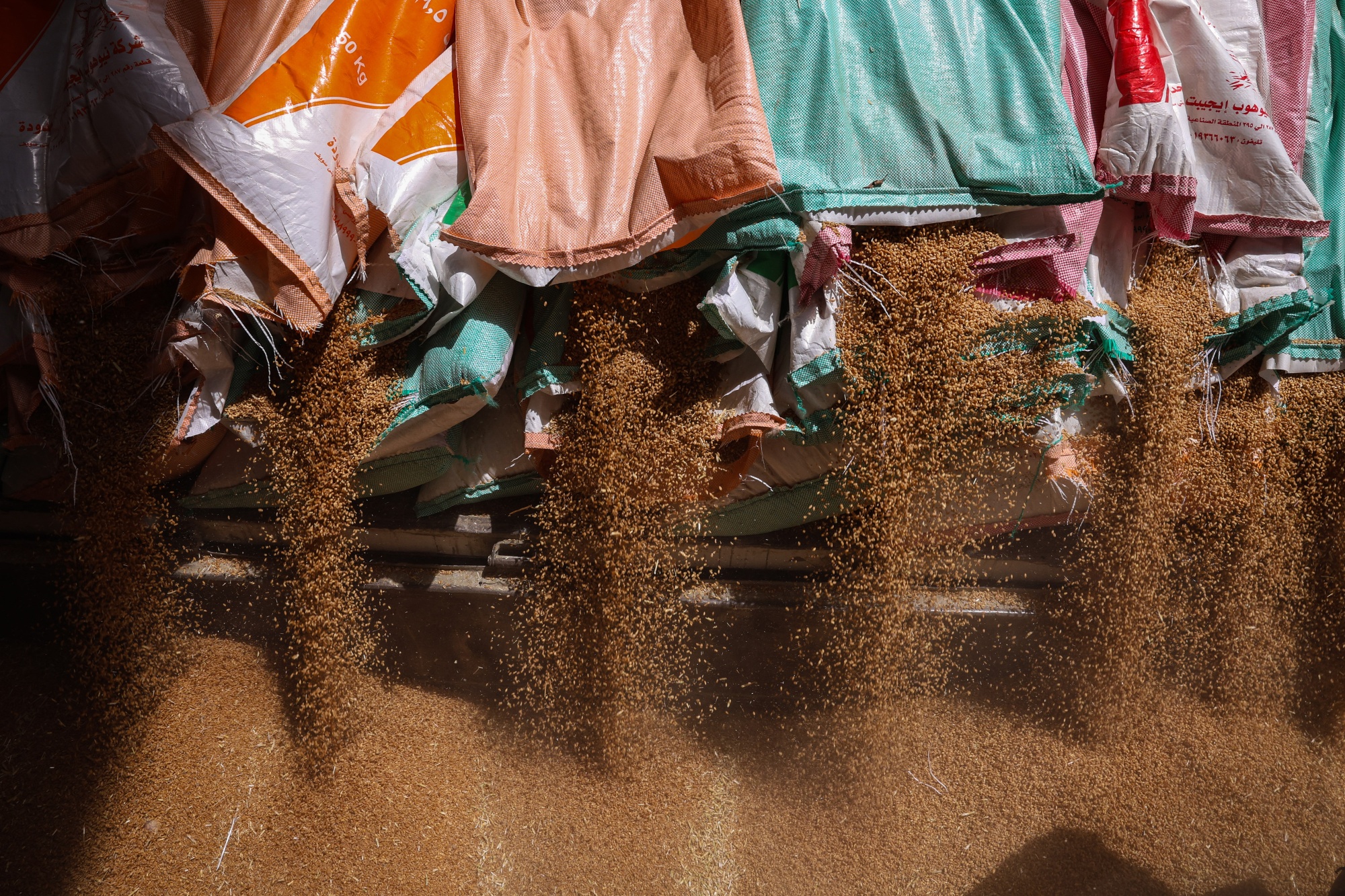 Wheat Almost Erases Year-to-Date Losses With Focus on Weather - Bloomberg