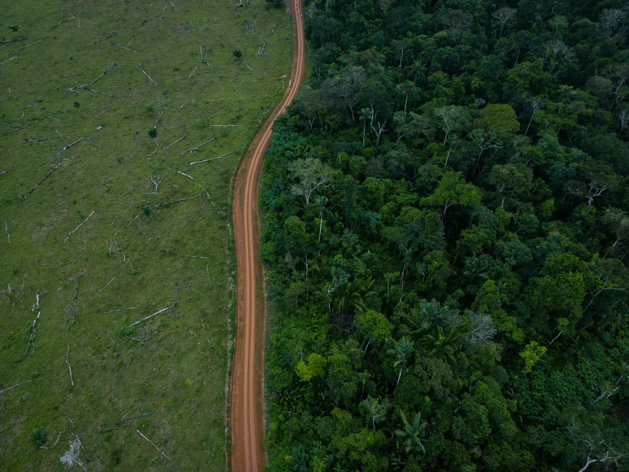 The Cycle of Poverty and Deforestation in Brazil’s Amazon - Bloomberg