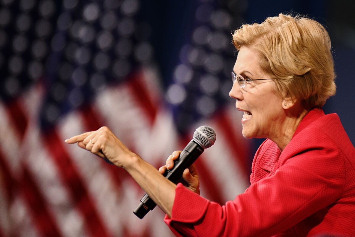 Private Equity Wields More Power Than Ever as Warren Picks Fight ...