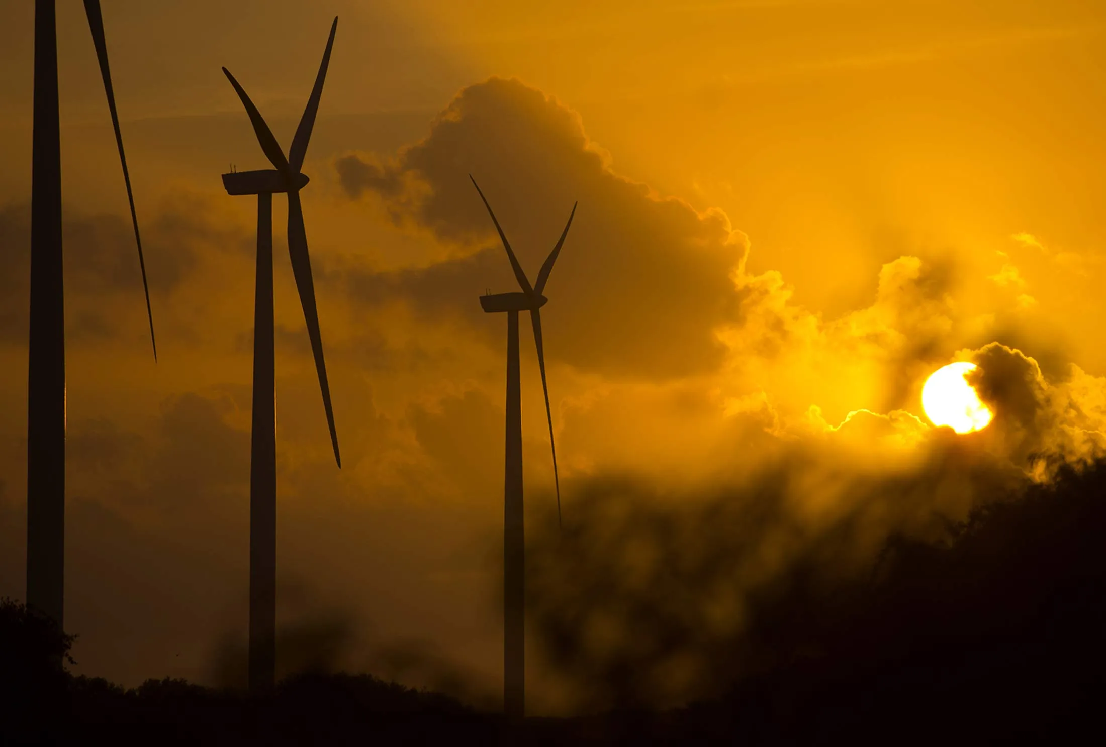 Exxon Is Said to Seek Wind, Solar Power Delivery in Texas - Bloomberg