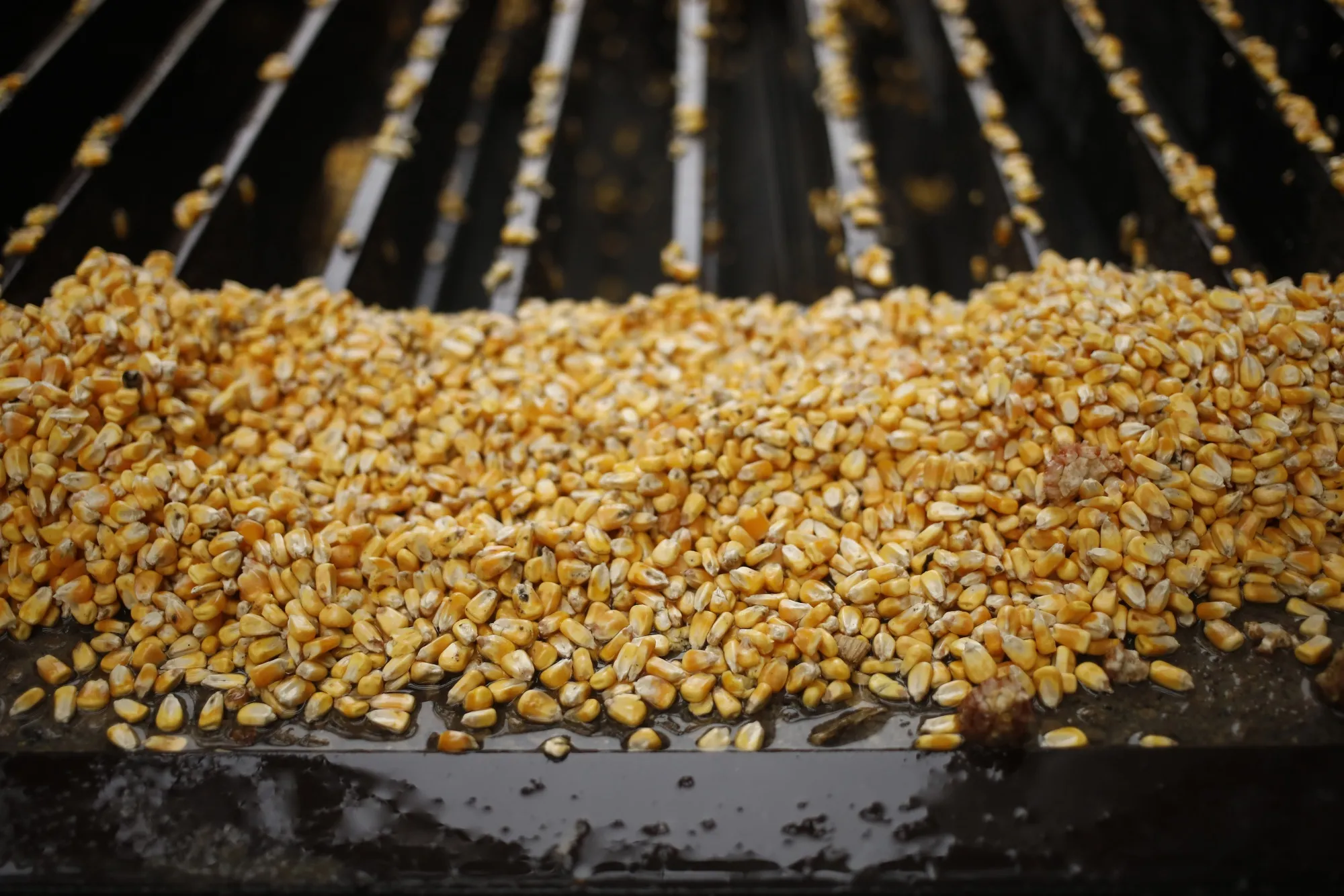 Banks Step Up Trade Finance in Global Commodities Boom - Bloomberg