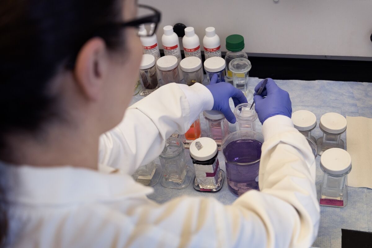 NIH赠款的削减不是省钱。他们正在浪费它。 | TrendFt