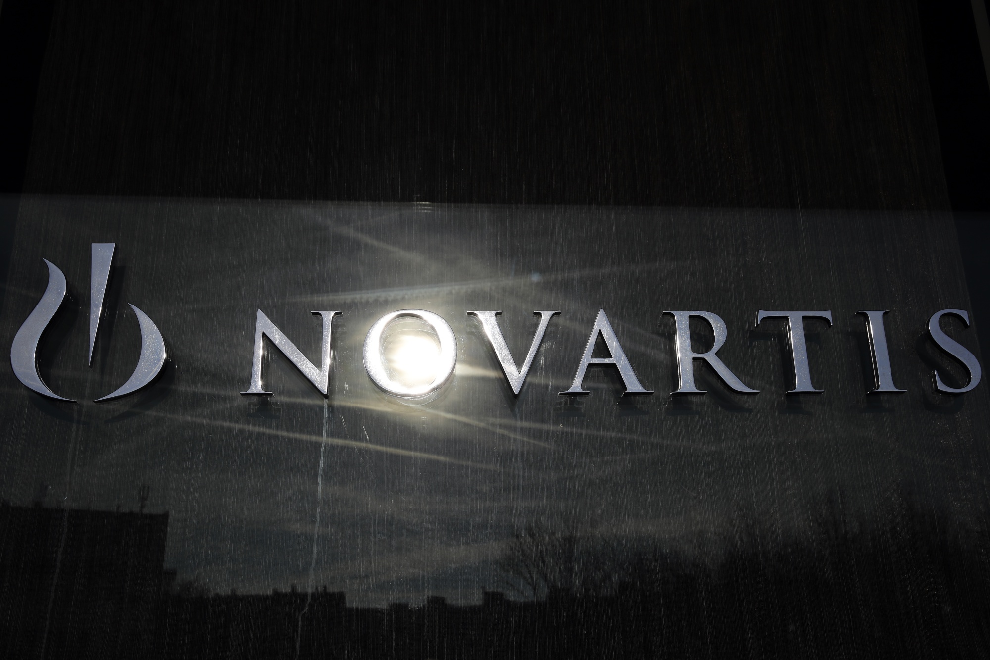 Novartis Logo White
