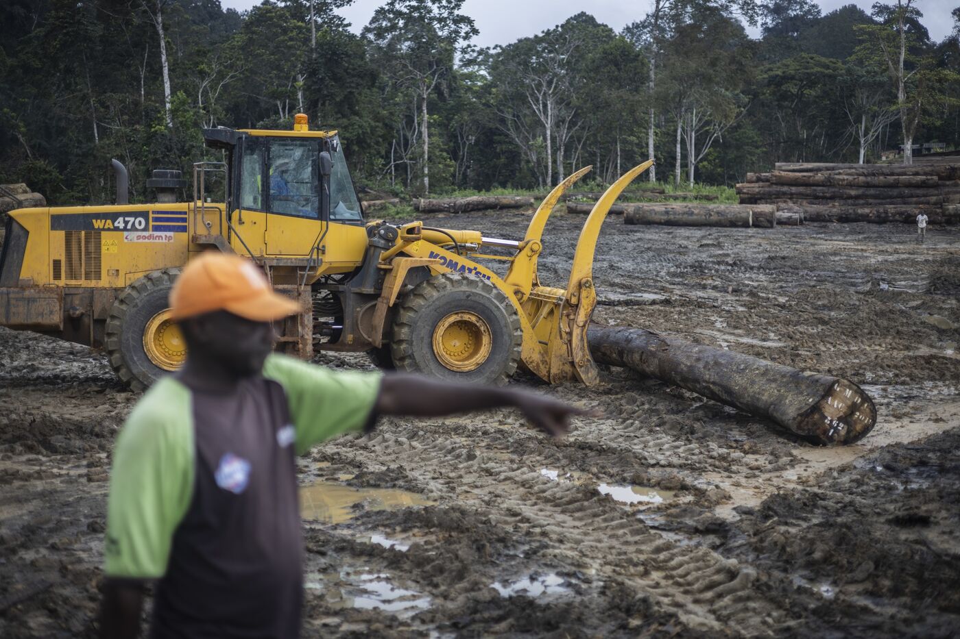 Climate Change Prevention Could Bring Big Payday for Gabon