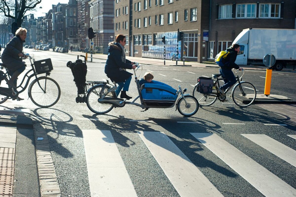 What We Can Learn from a Dutch Bike Traffic Jam - Bloomberg