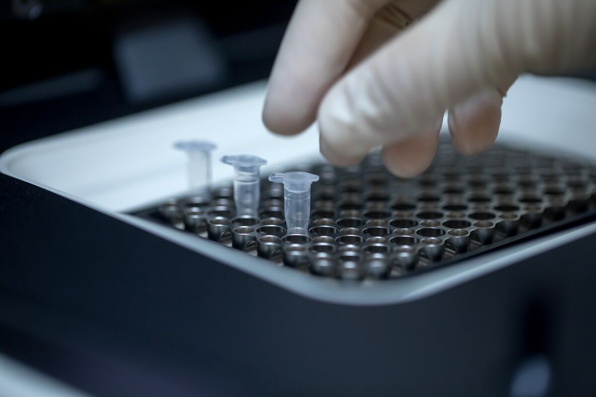 FDA Unveils New Path for Approving Drugs for Just One Patient - Bloomberg