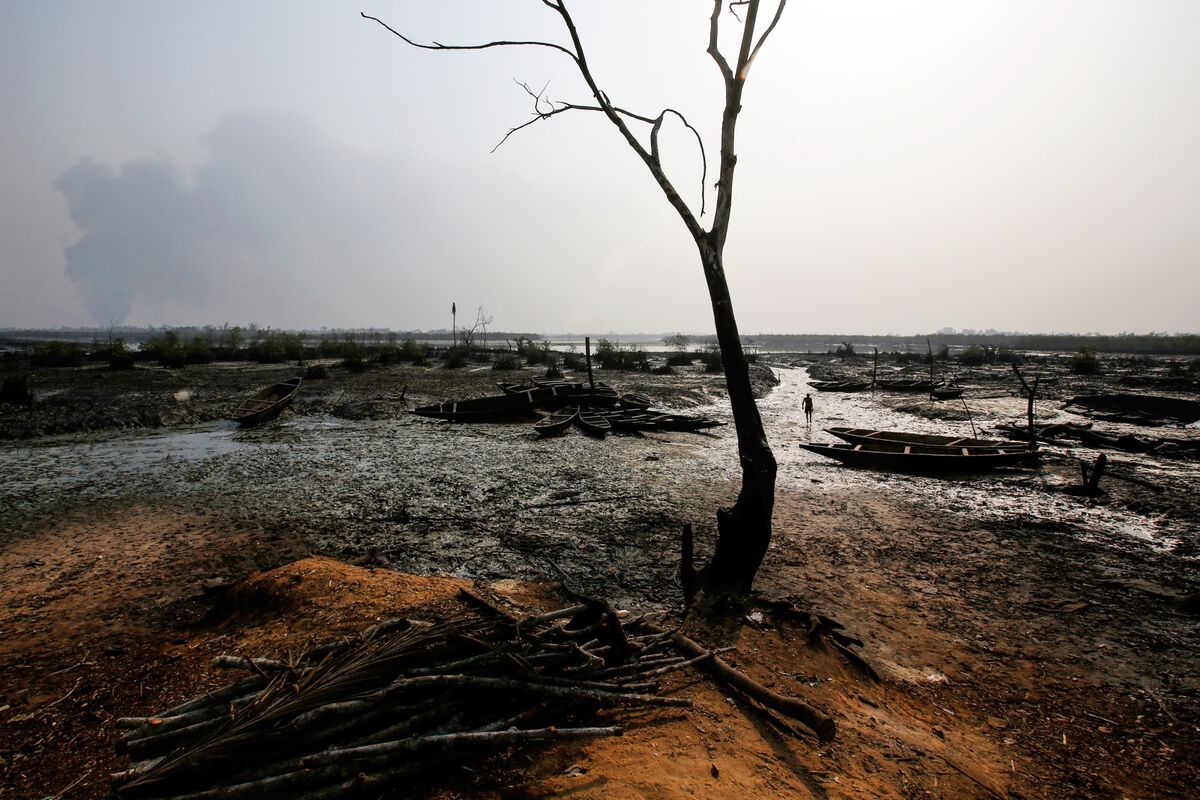 Big Take: Inside a Shell-Backed Pollution Cleanup Effort in Nigeria ...