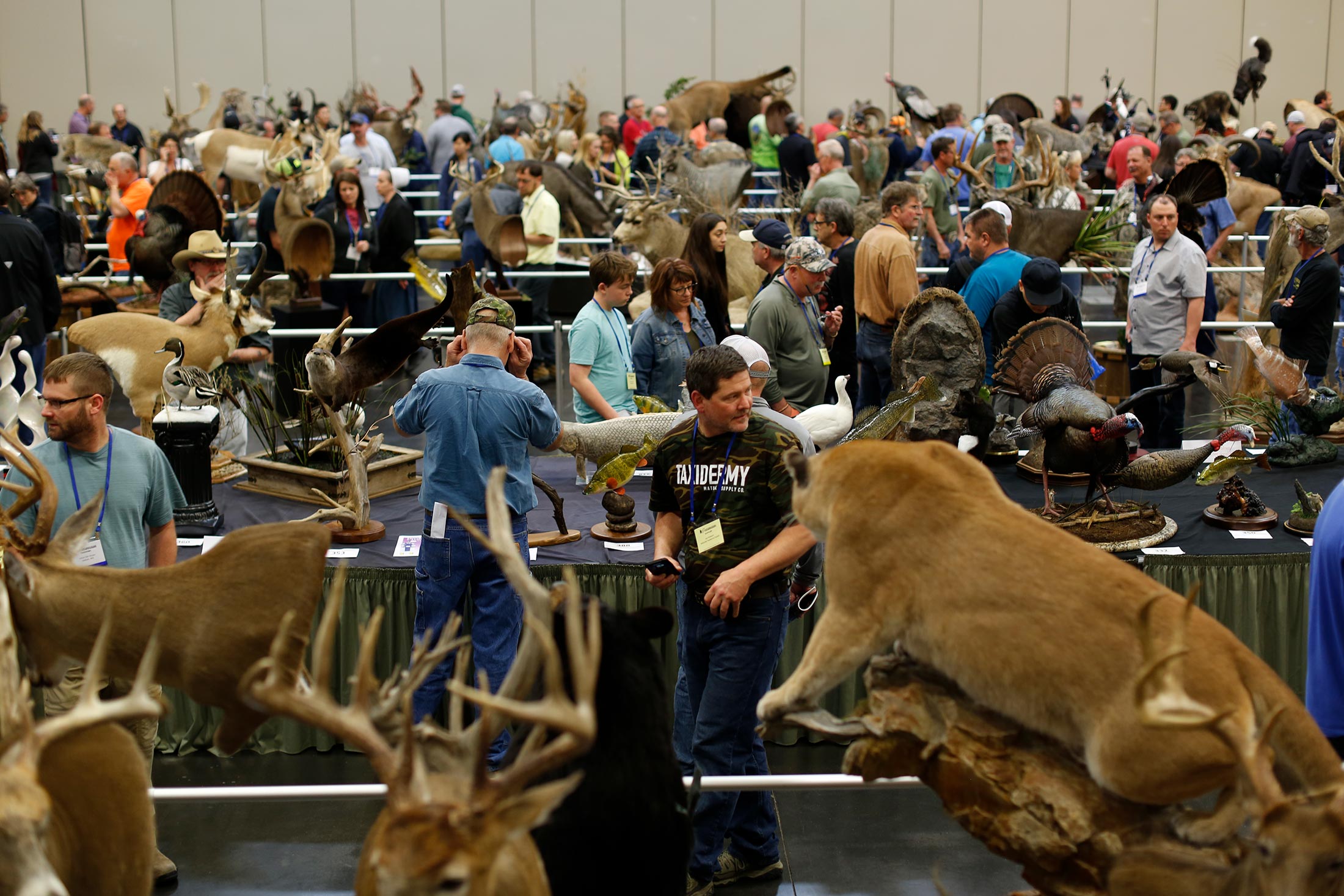 At the World Taxidermy and Fish Carving Competition - Bloomberg