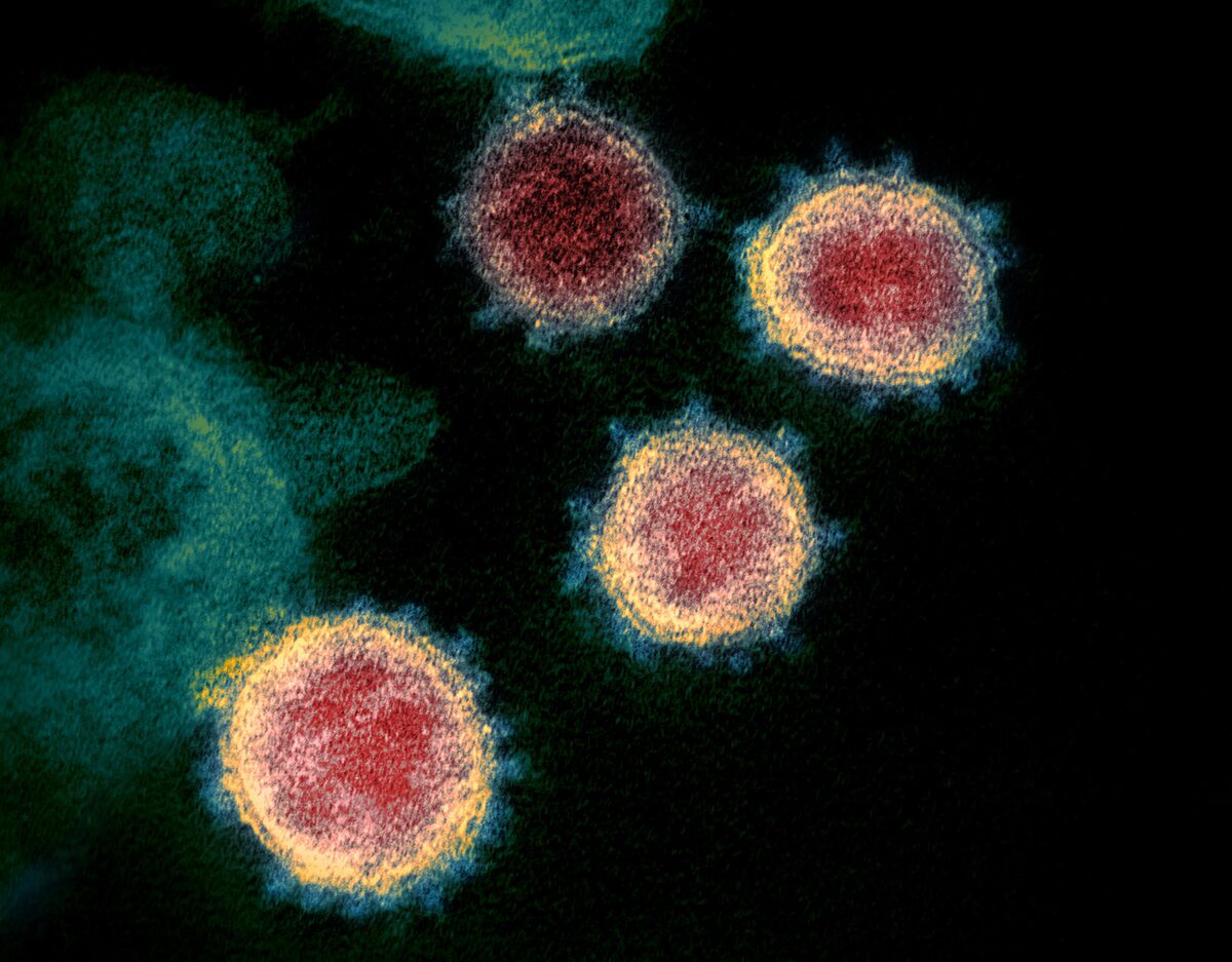 Dead Coronavirus Particles Muddy the Outcome of Test Results - Bloomberg