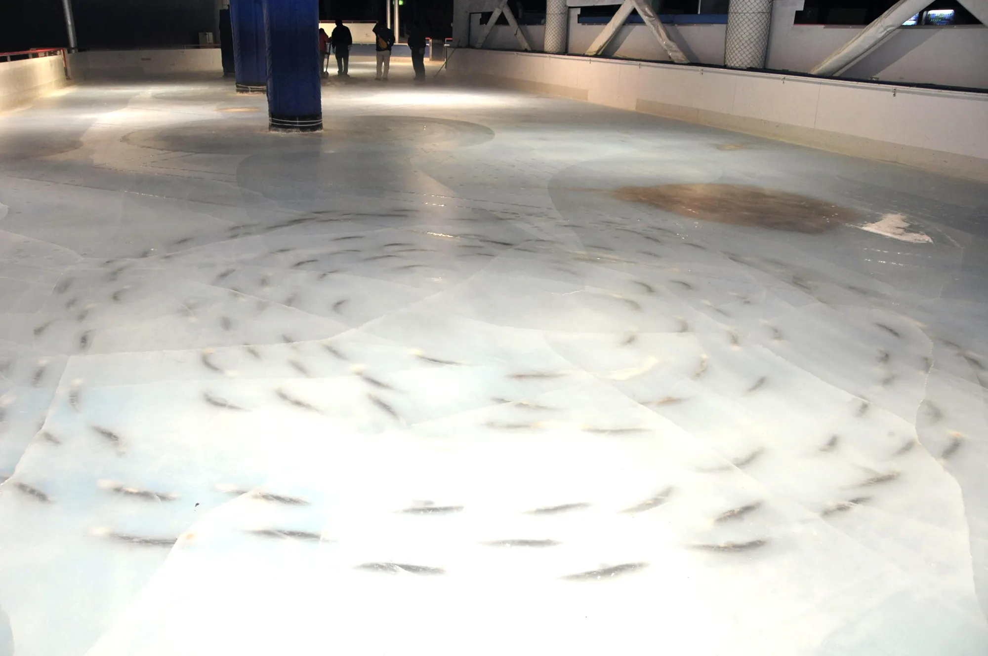 5,000 Fish in Ice At Japan Skating Rink Sparks Uproar - Bloomberg