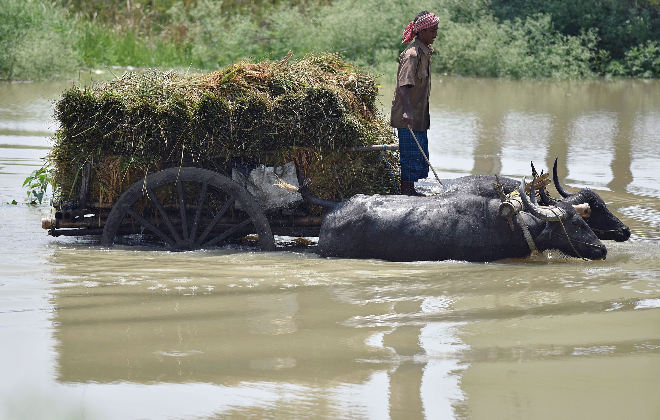 Natural Disasters Are Costing Farming Billions of Dollars a Year ...