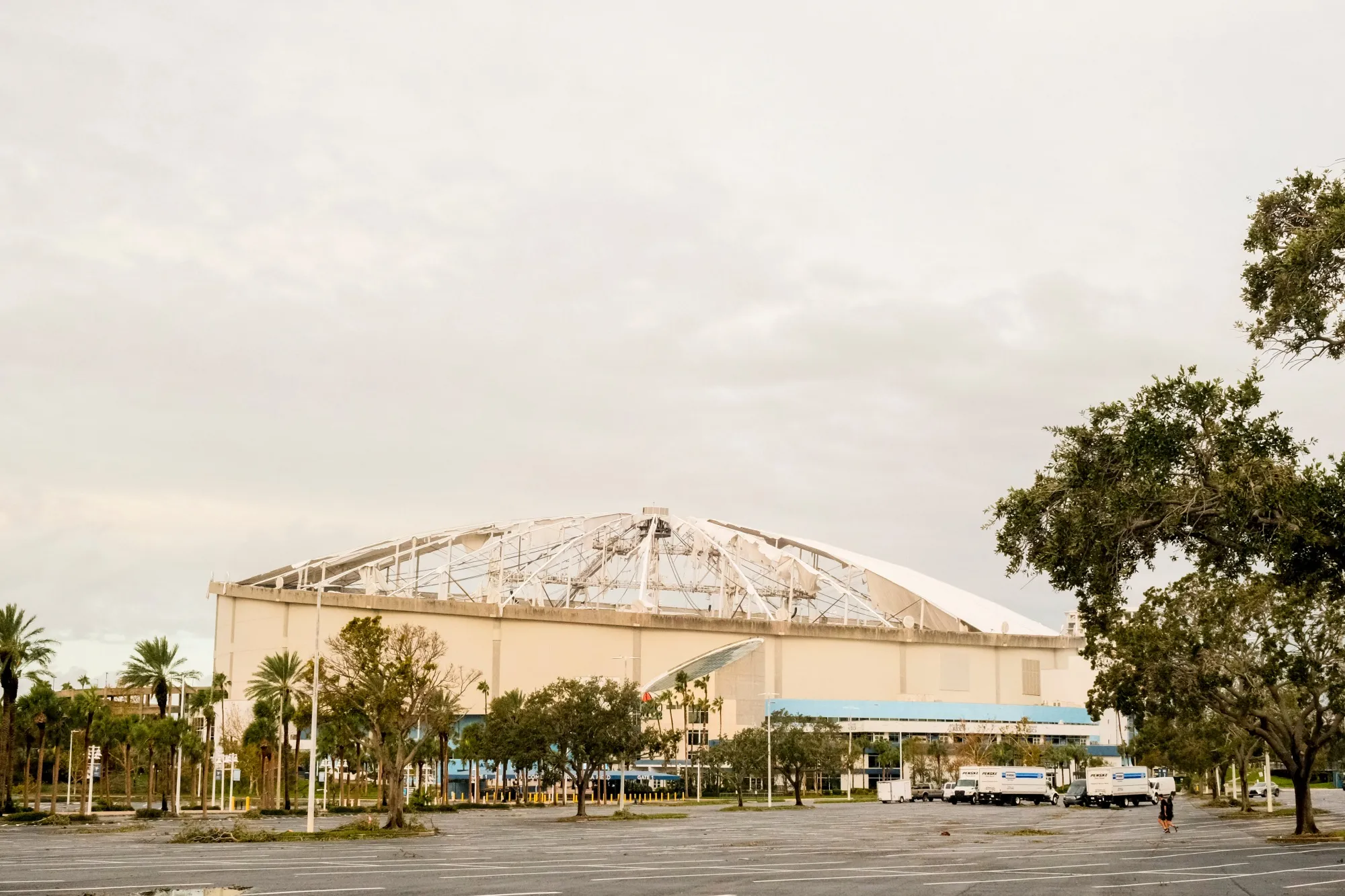 MLB’s Tampa Bay Rays to Play at Training Site After Tropicana Field ...
