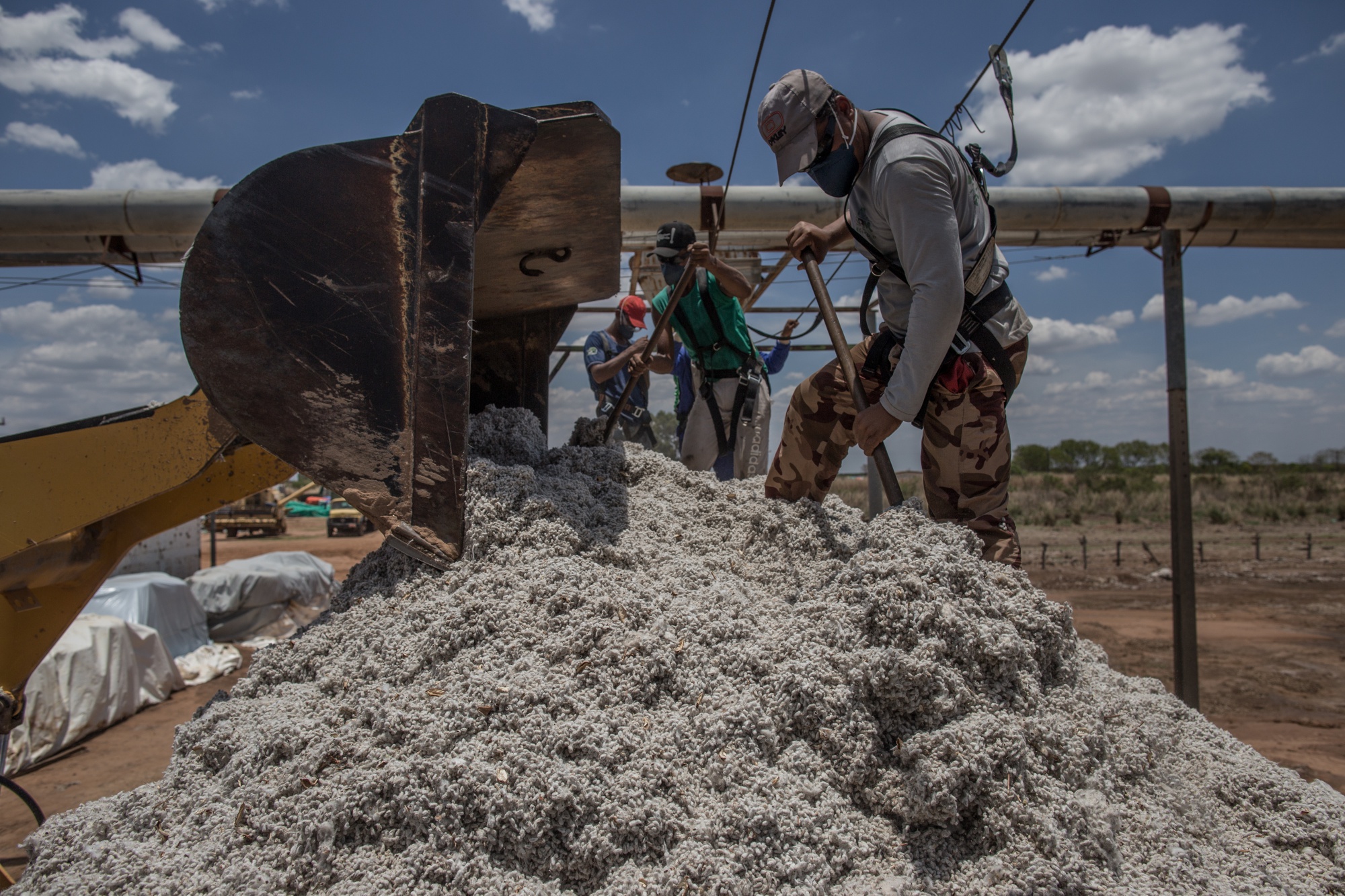 Cotton Poised for Green New Rival as Pulp Makers Aim at Textiles ...