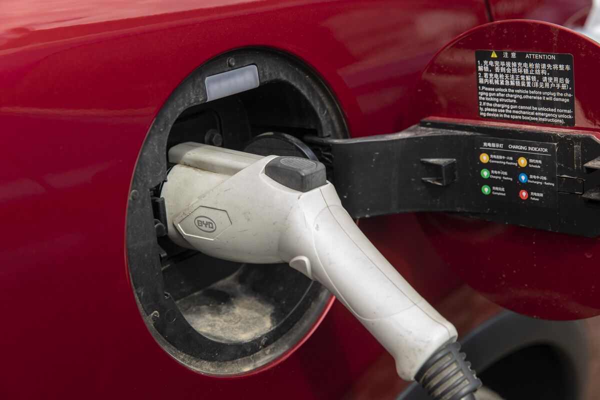 Tesla, BYD Rivalry Shows Why Not All EVs Are the Same - Bloomberg