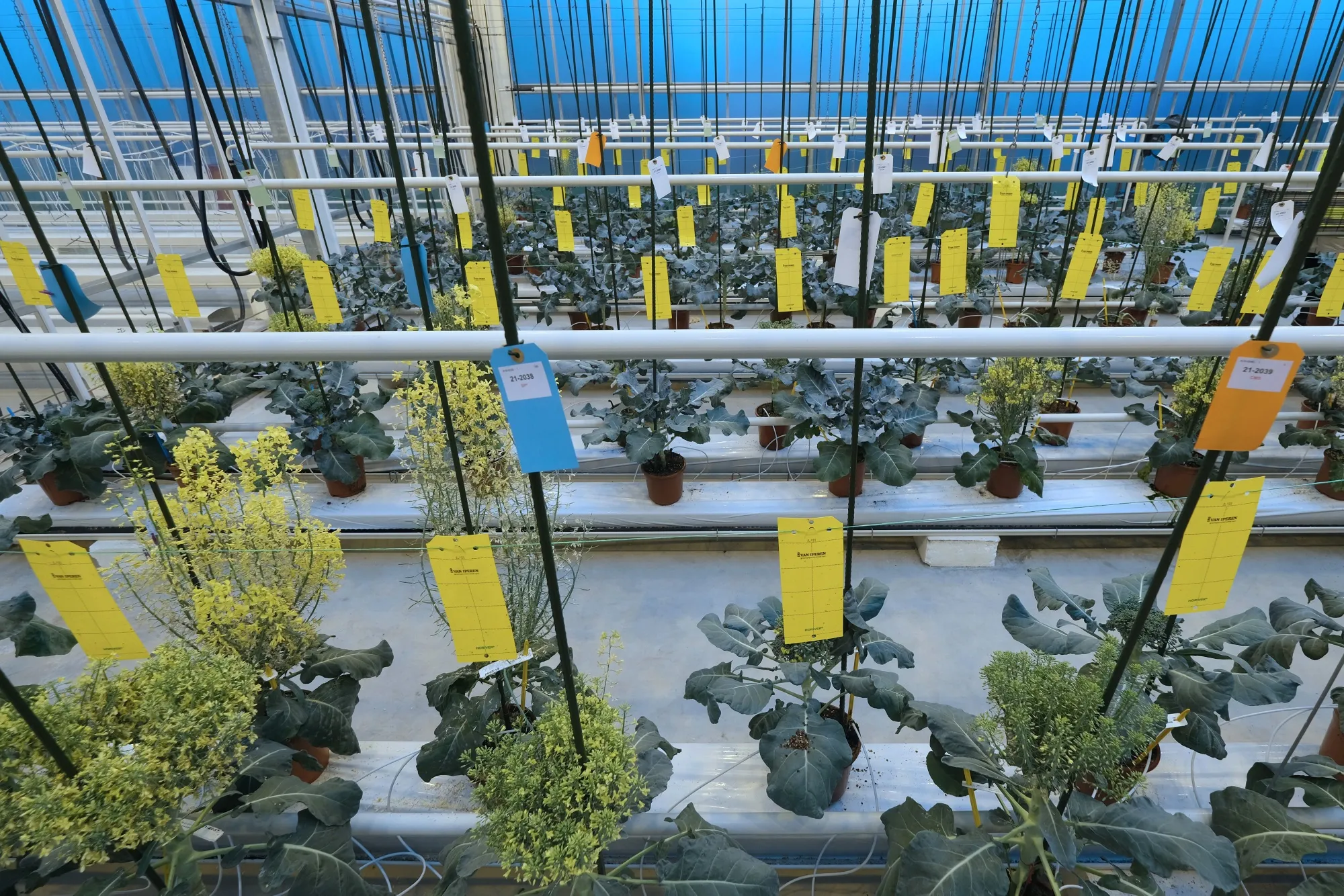 Syngenta Postpones IPO to End of 2024 Amid Market Volatility - Bloomberg