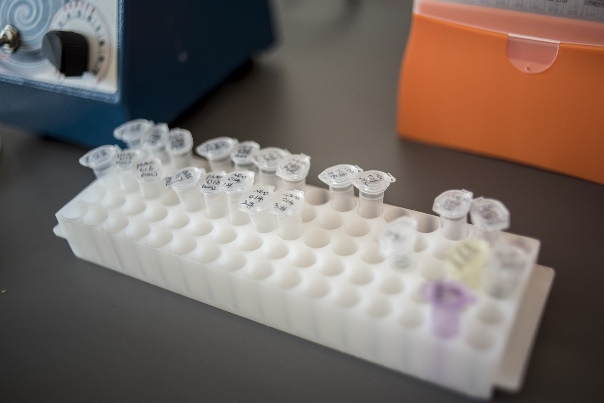 Short Seller Scores Big Win as Tiny Biotech Stock Sinks 72% - Bloomberg