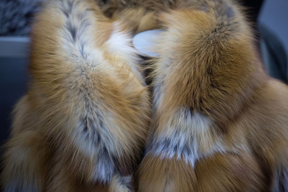 Potential Outbreak-Causing Viruses Found in China’s Animals Farmed for ...