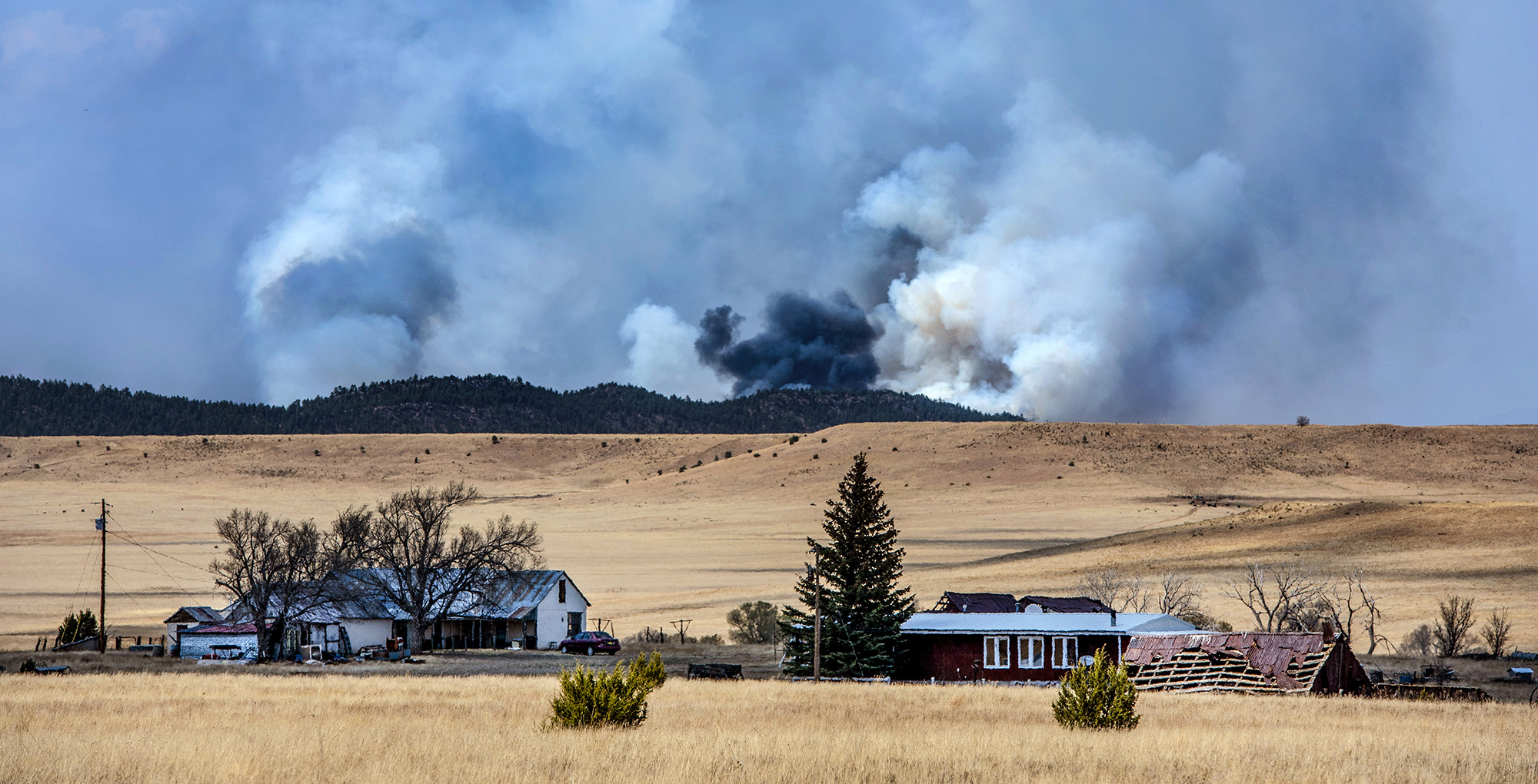 Wildfires in New Mexico 2022: Burning for 25 Days, Cause Wide Property ...