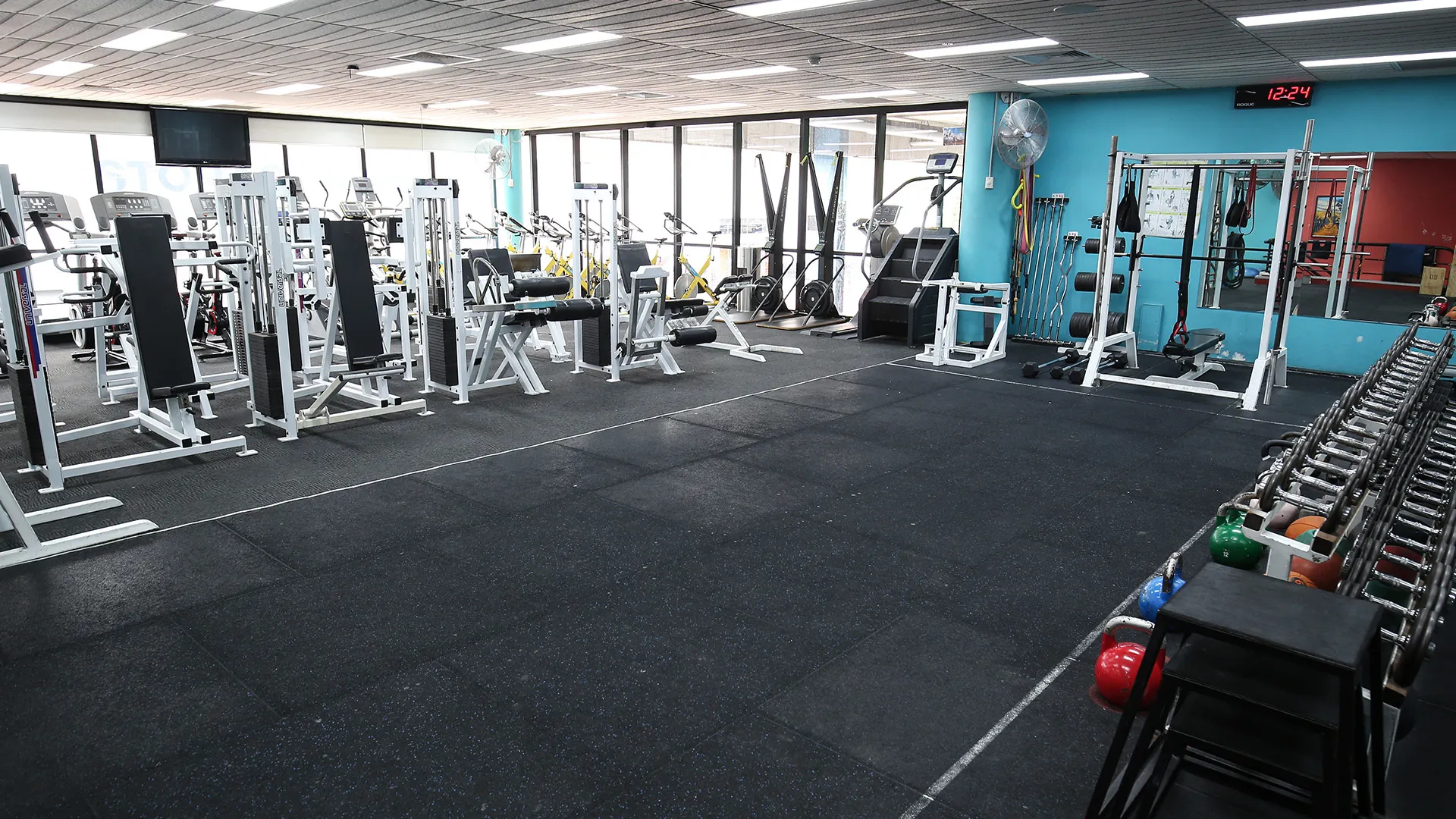 Watch Gen Z Swaps Bars for Barbells - Bloomberg