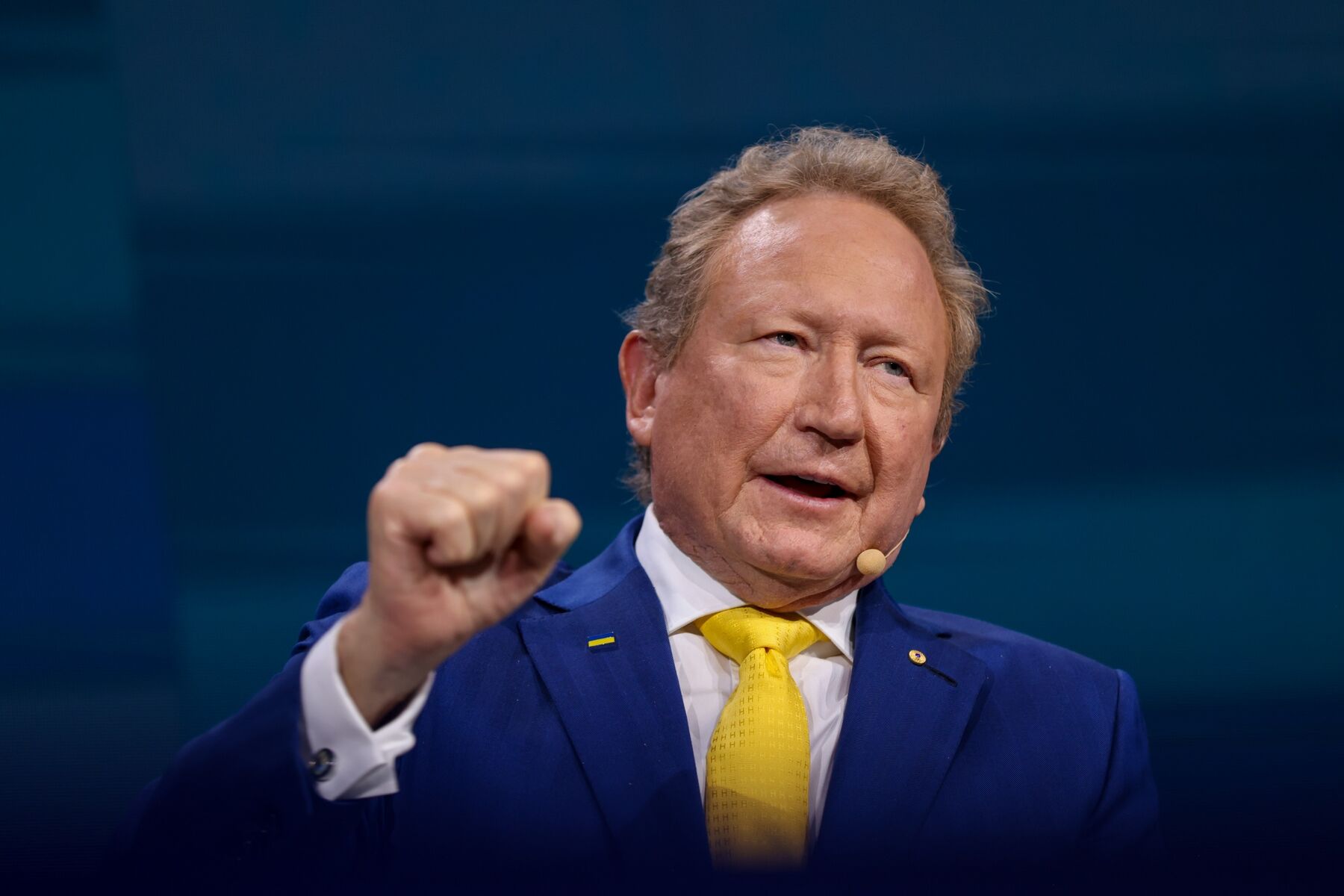 Andrew Forrest Calls Elon Musk a ‘Muppet’ Over Fuel Cell Doubts - Bloomberg