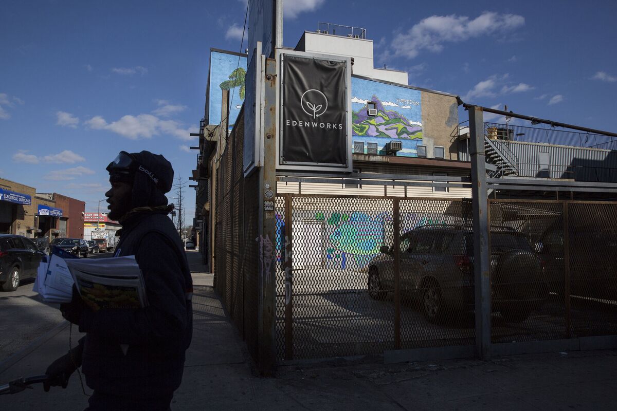 What is Aquaponics? Inside a Brooklyn Fish-and-Greens Farm - Bloomberg
