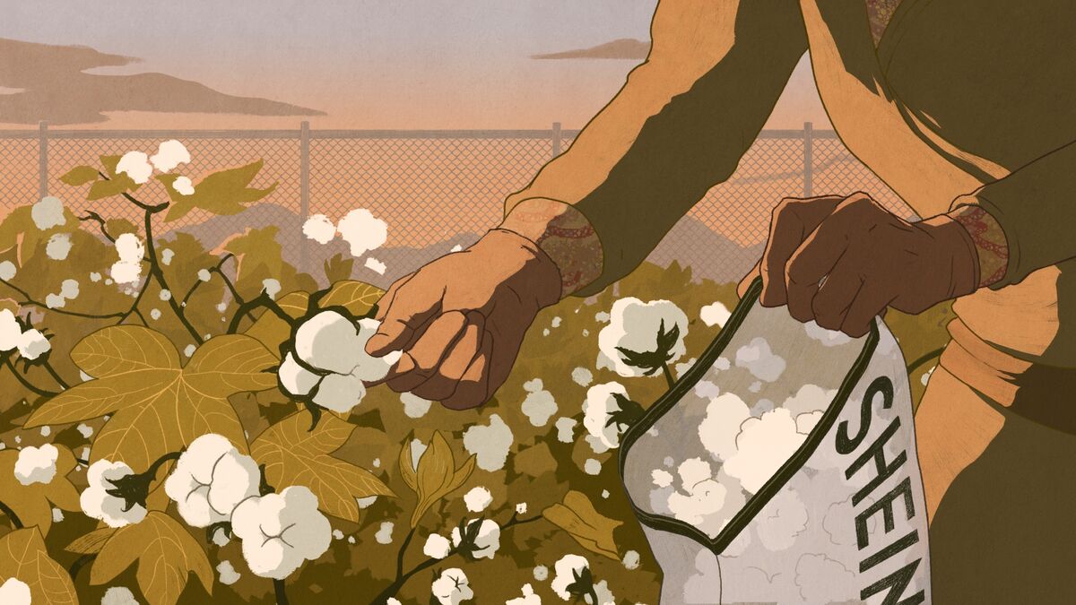 Shein's Cotton Tied to Chinese Region Accused of Forced Labor ...