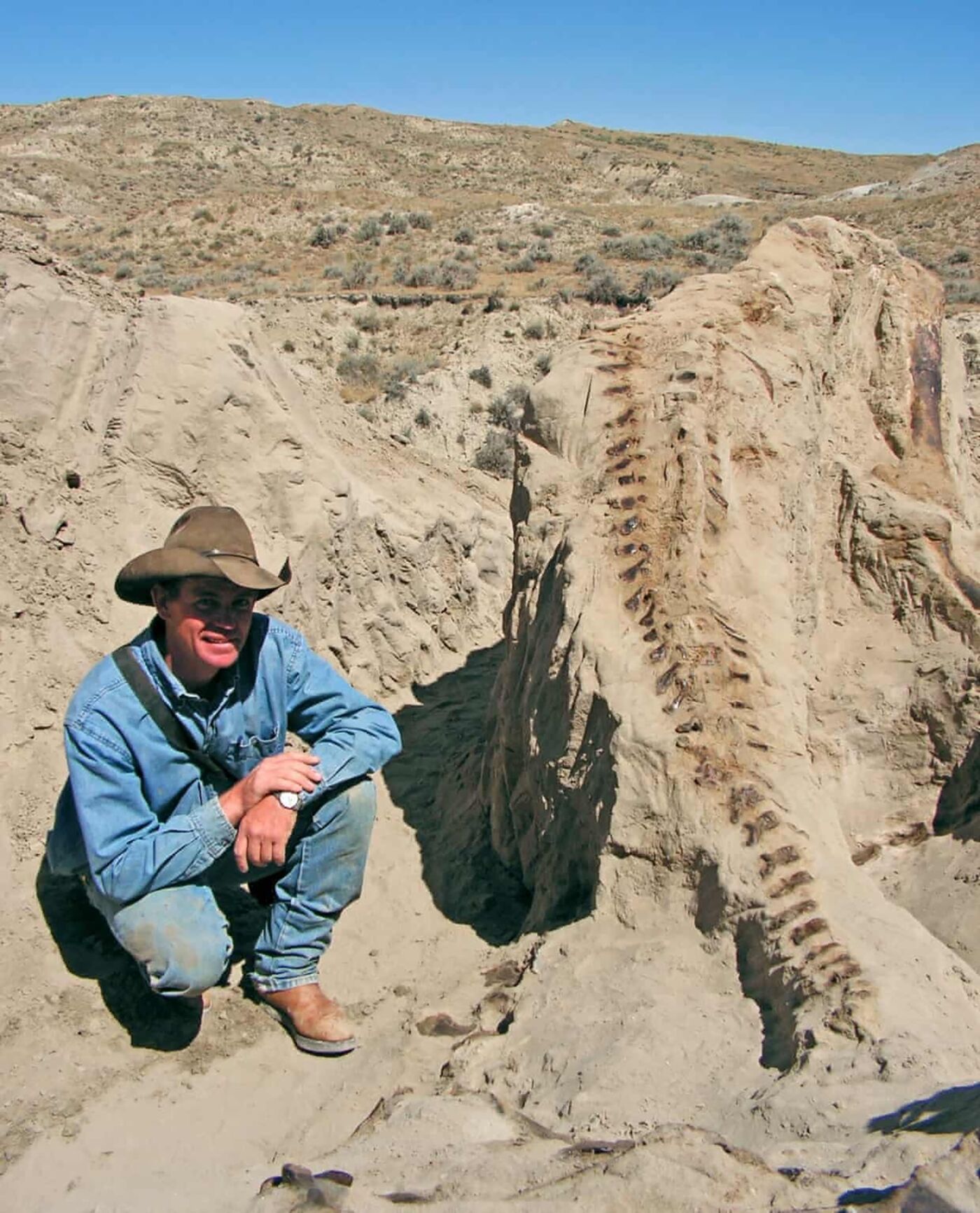 Dinosaur Cowboys Are Hunting for the Next $32 Million T. Rex Fossils