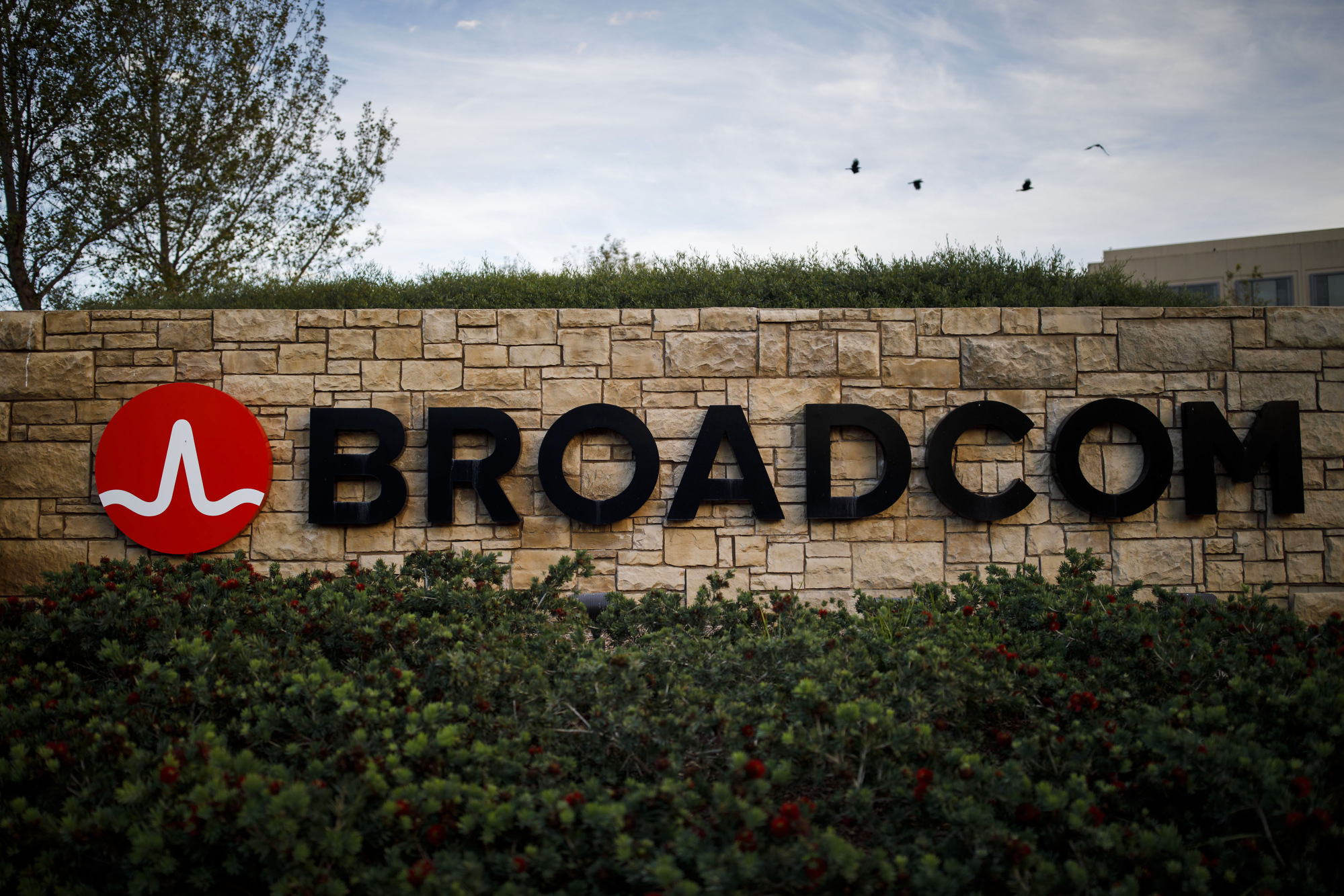 Broadcom (AVGO) Stock Falls, Sticks to Lowered Forecast - Bloomberg