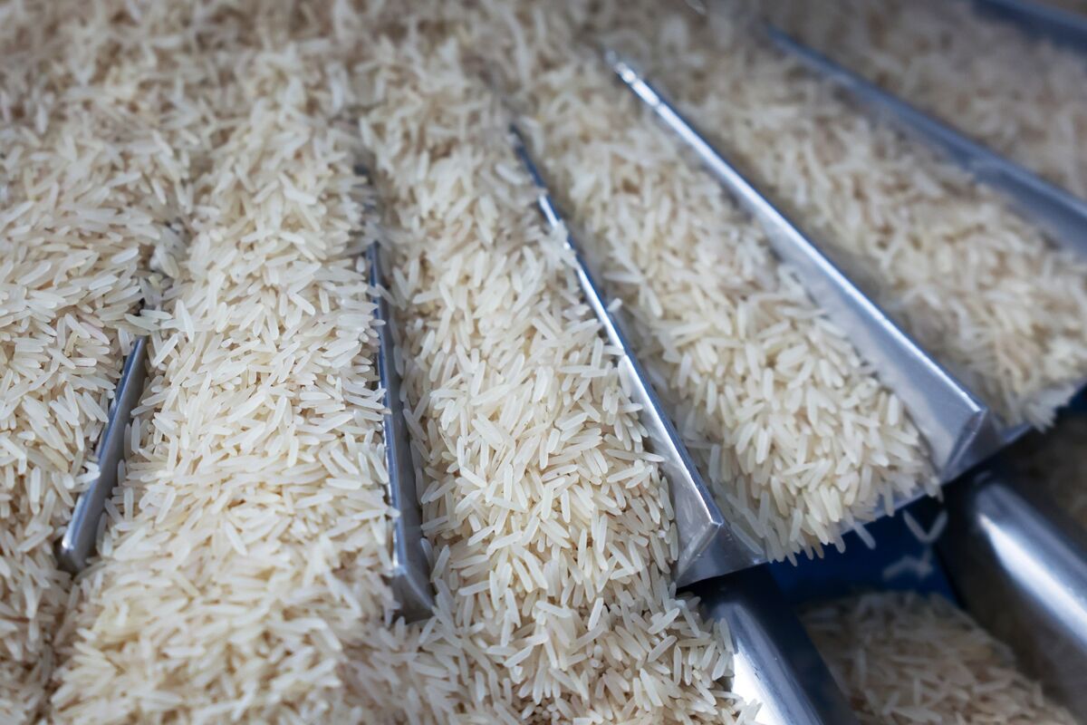 Rice Benchmark Hits 10-Year Low as Philippines Halts Imports - Bloomberg
