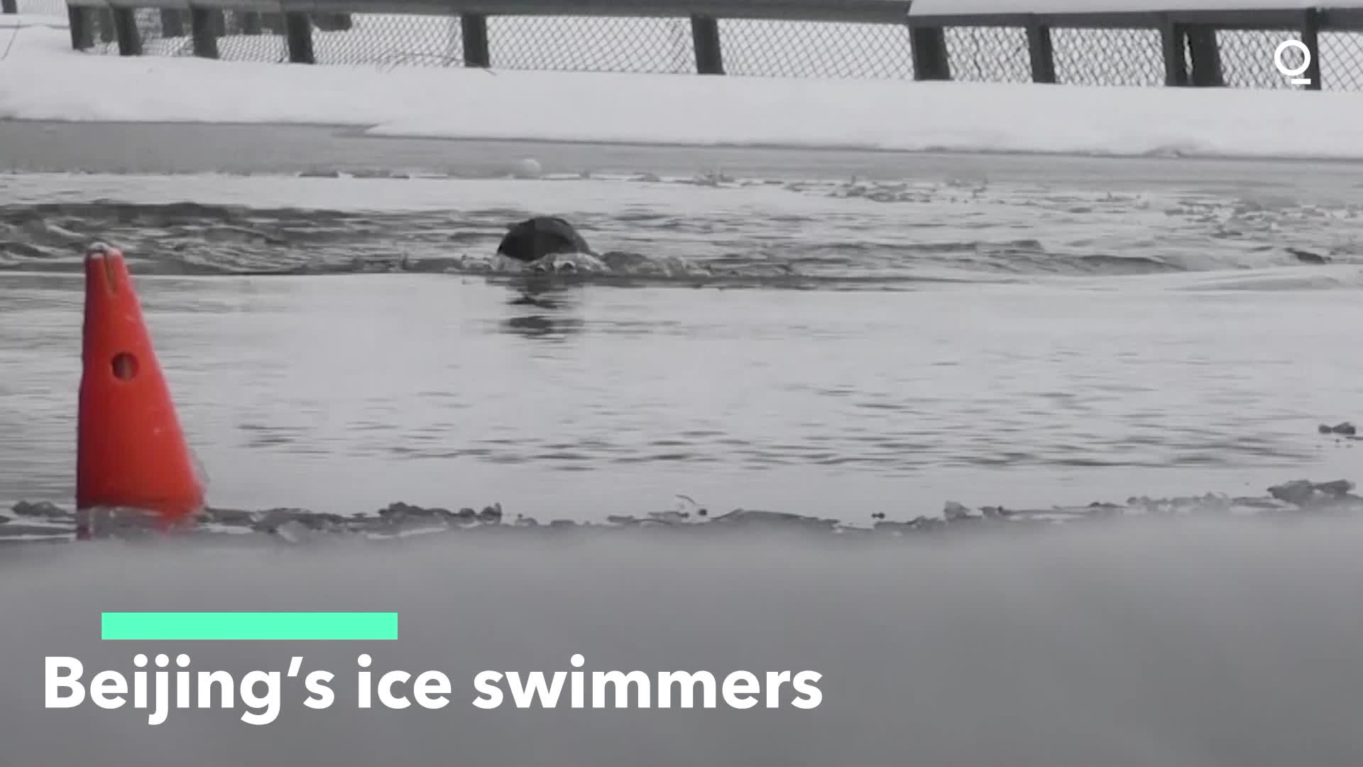 Watch Meet the Beijing Ice Swimmers - Bloomberg
