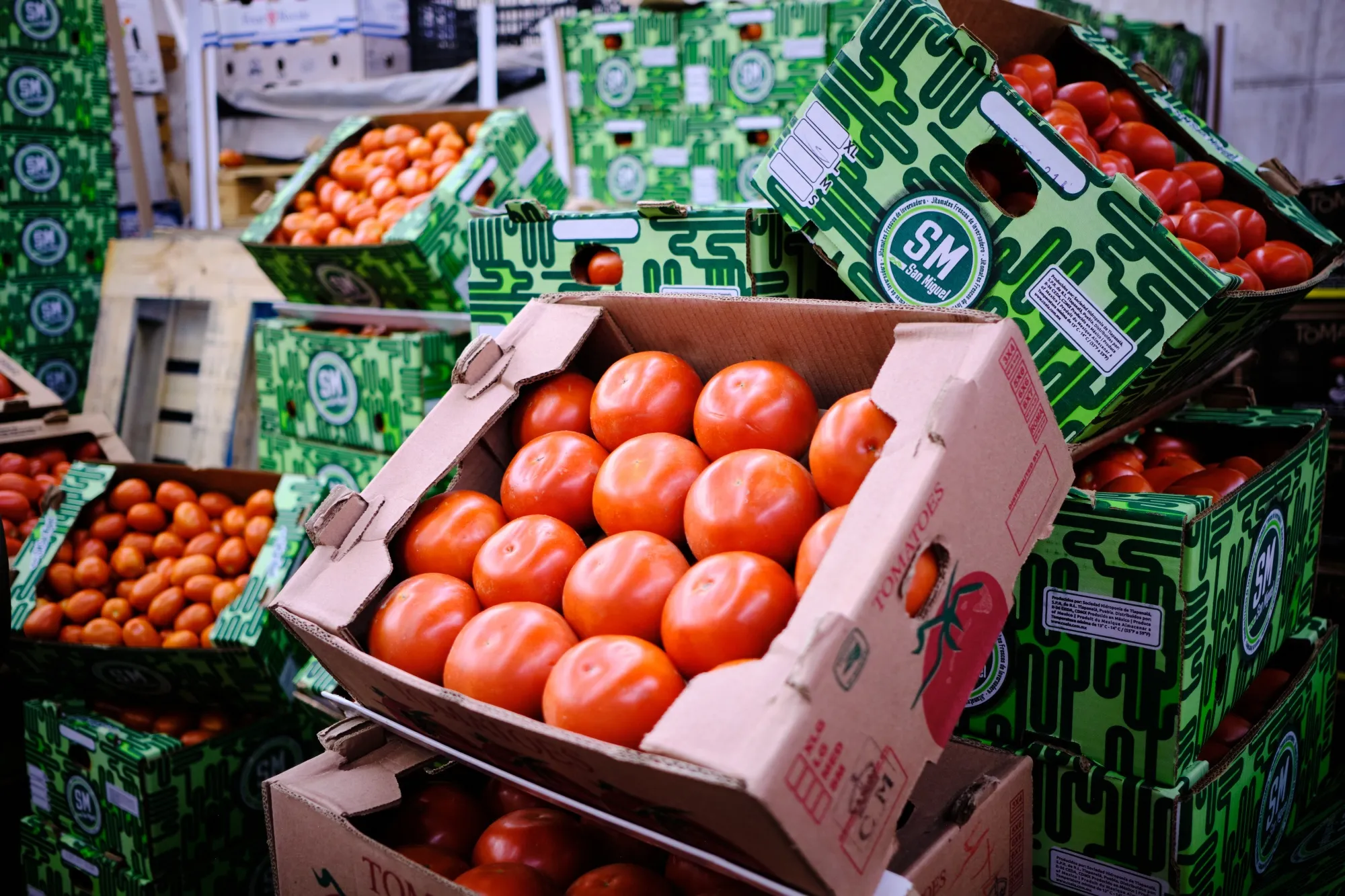 Tomato Tariffs of 17% Added to US Imports From Mexico - Bloomberg