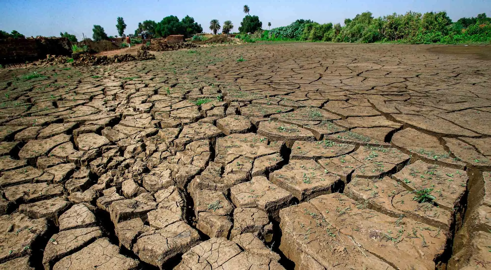 Three Billion People Live in Farming Areas With Water Shortages - Bloomberg